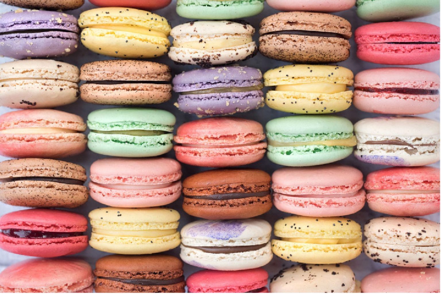 5 Fast Facts about Woops! Franchise Macaron Kiosks